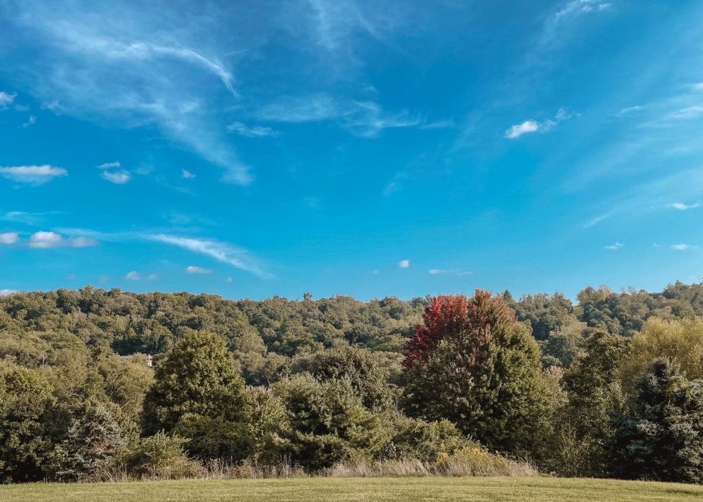 Peak peeping - Herald-Standard